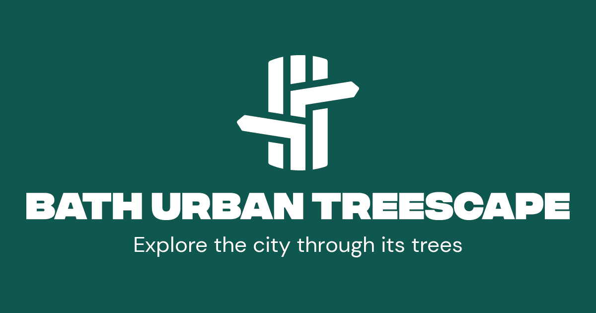 Map | Bath Urban Treescape