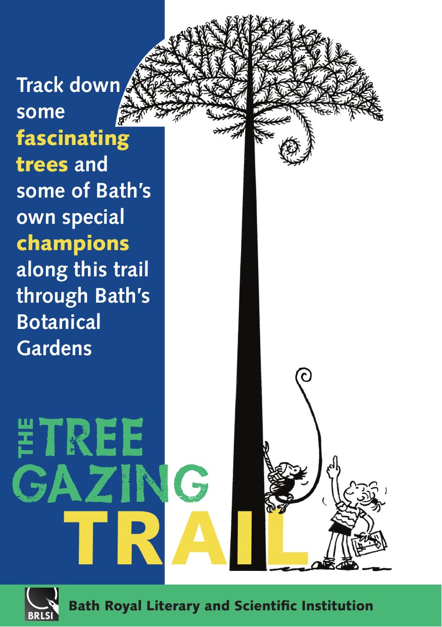 Other Trails | Bath Urban Treescape