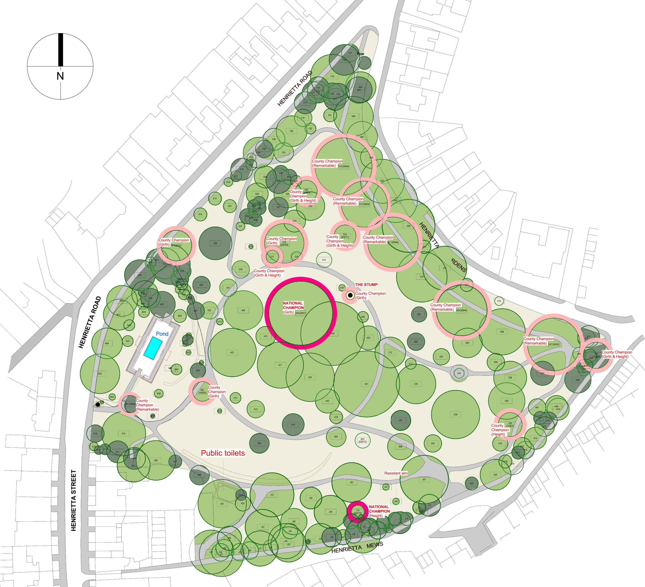 Other Trails | Bath Urban Treescape